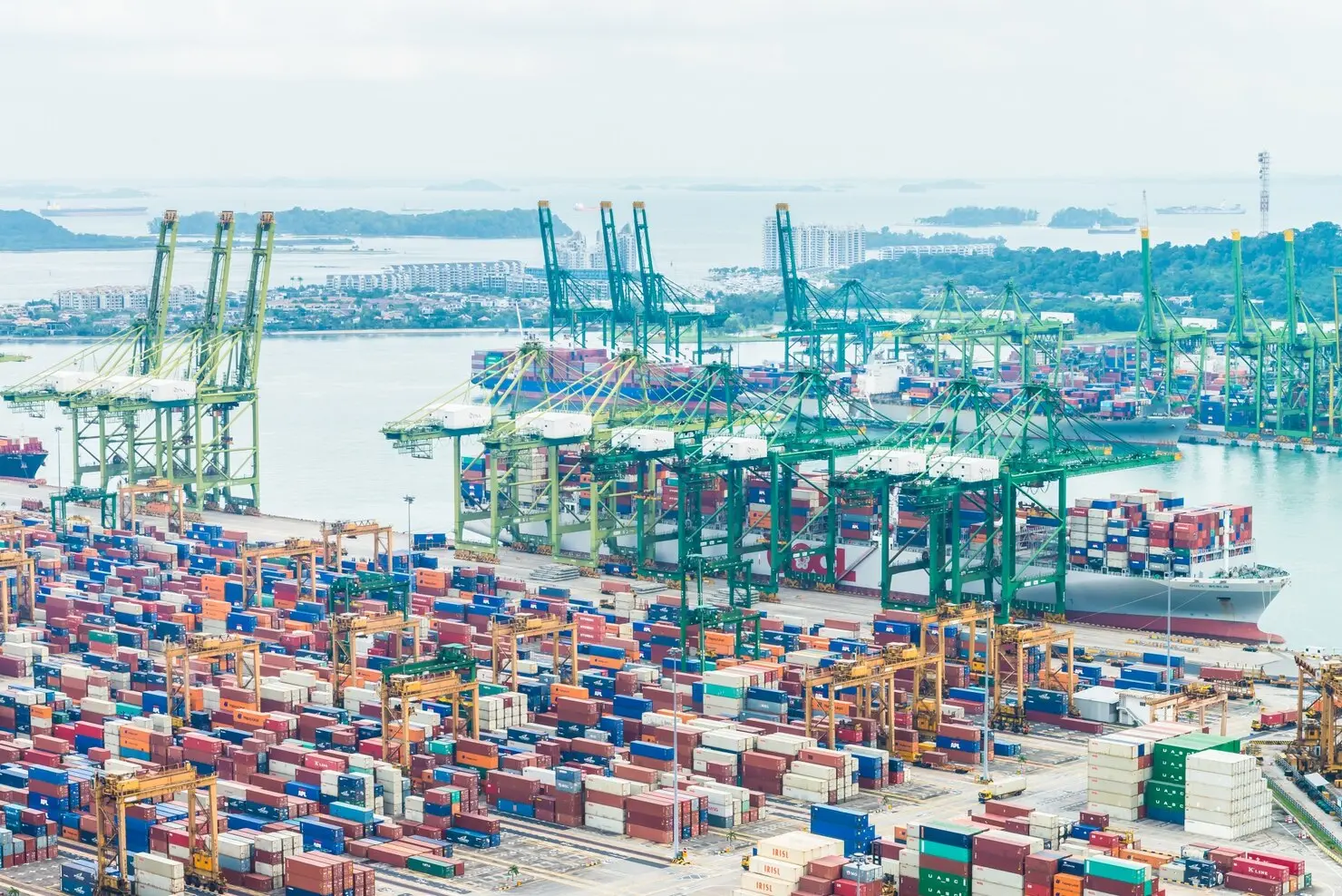 The World’s Busiest Ports and Their Importance in Global Trade